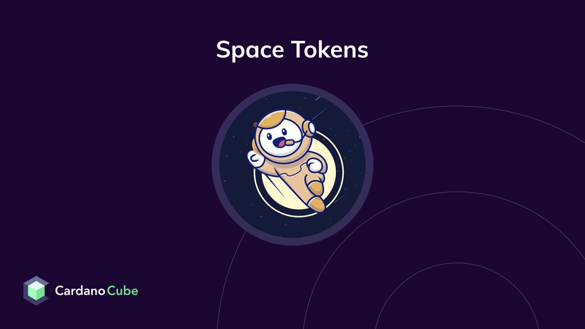 Space Tokens (NFT) on the Cardano Blockchain | Prices, Charts, Teams ...