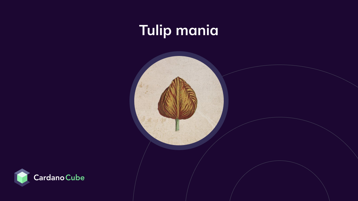 Tulip Mania (NFT) on the Cardano Blockchain | Prices, Charts, Teams ...