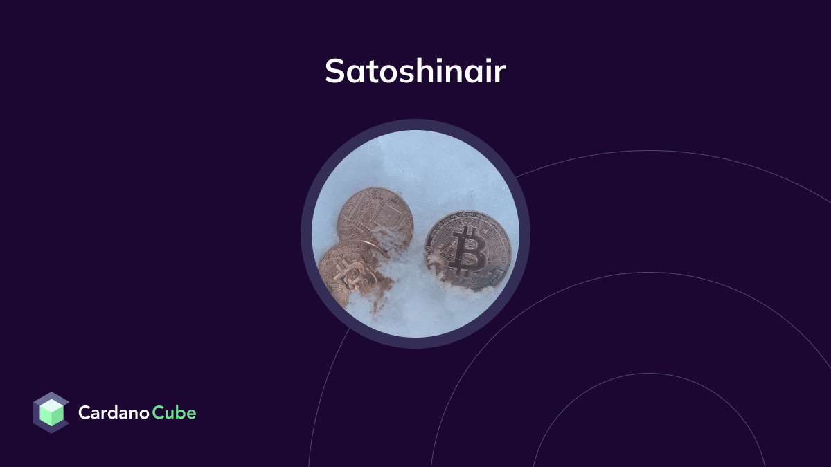 Satoshinair (NFT) on the Cardano Blockchain | Prices, Charts, Teams & Ratings