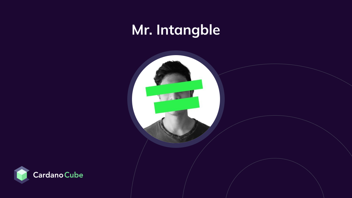 Mr. Intangble (NFT) on the Cardano Blockchain | Prices, Charts, Teams ...