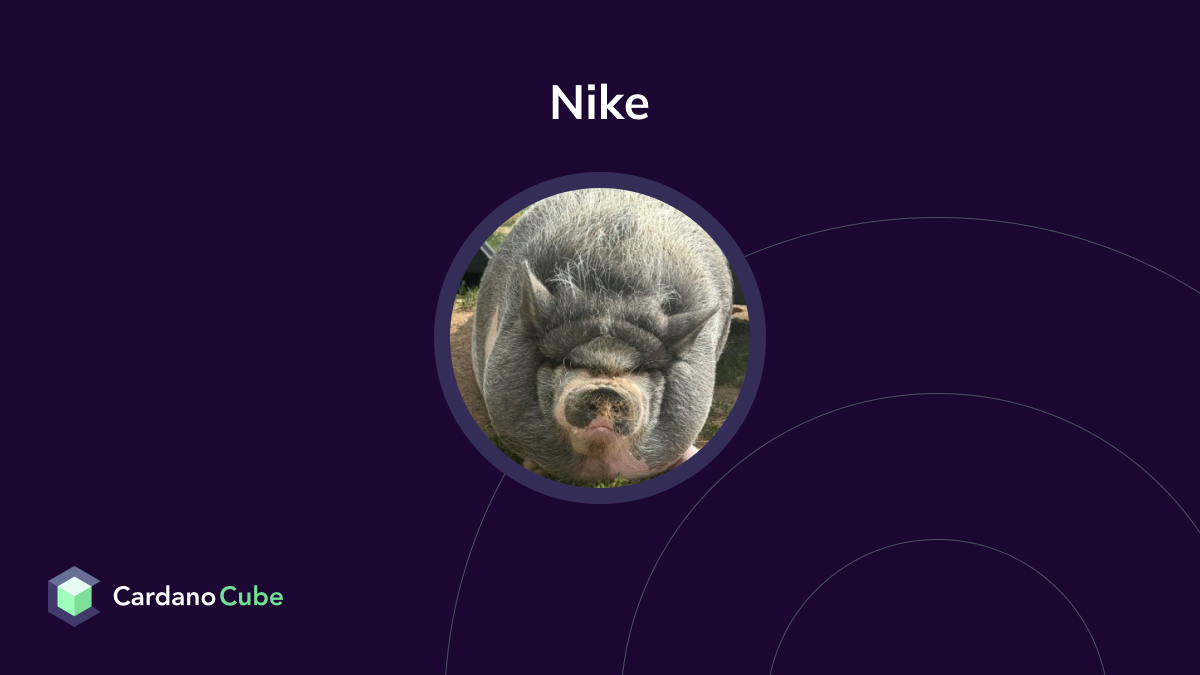 Nike (NIKE) on the Cardano Blockchain | Prices, Charts, Teams & Ratings