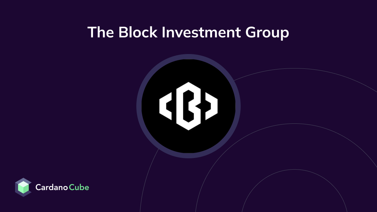 Block Investment Group (BIG) on the Cardano Blockchain | Prices, Charts ...