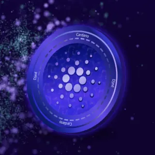 Cardano Ecosystem Map (Interactive) - CardanoCube.com