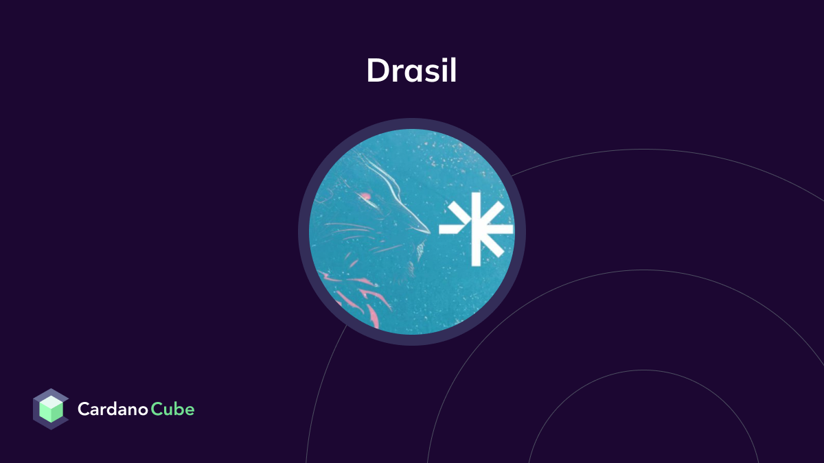 Drasil on the Cardano Blockchain | Prices, Charts, Teams & Ratings