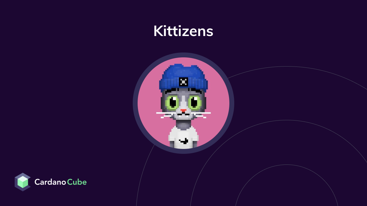 Kittizens (NFT) on the Cardano Blockchain | Prices, Charts, Teams & Ratings