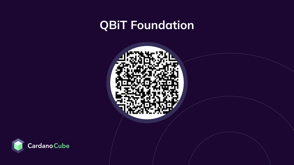 QBiT Foundation ($QBIT) on the Cardano Blockchain | Prices, Charts ...
